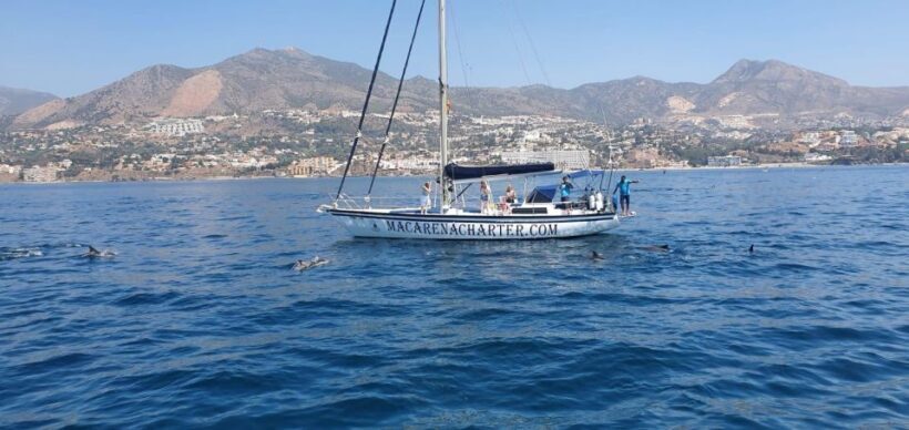 Fuengirola: Dolphin-Watching Sailing Tour with Drinks - Key Points