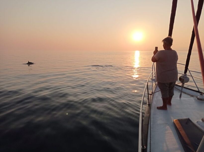Fuengirola: Dolphin-Watching Sailing Tour with Drinks - An Authentic Coastal Adventure