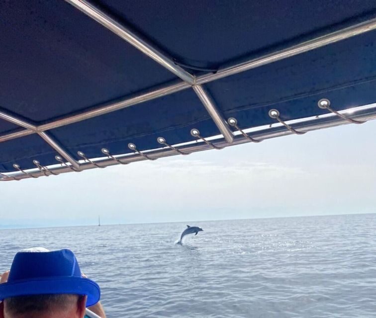 Fuengirola: Fantastic Dolphin Watching Yacht Tour with Drink - The Sum Up