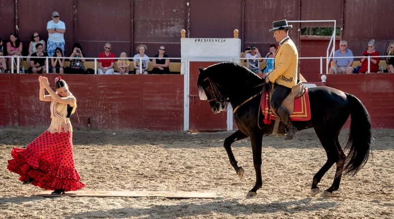 Fuengirola: Spanish Horse Show with Optional Dinner/Flamenco - A Deep Dive into the Experience