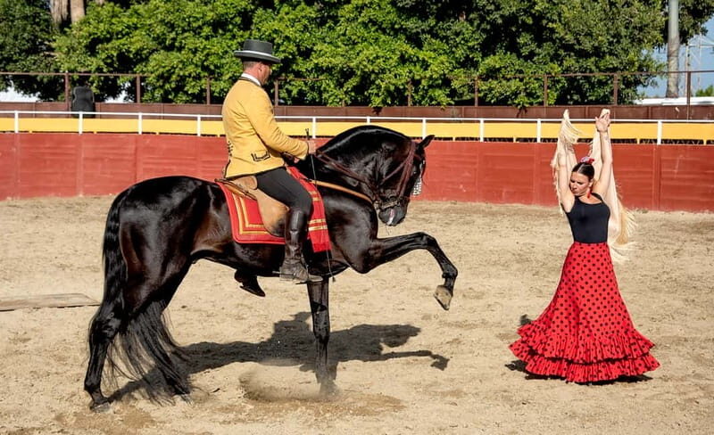Fuengirola: Spanish Horse Show with Optional Dinner/Flamenco - The Sum Up: Is This Tour Worth Your Time?