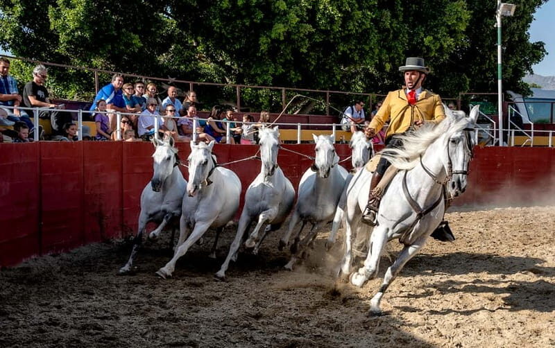 Fuengirola: Spanish Horse Show with Optional Dinner/Flamenco - FAQ