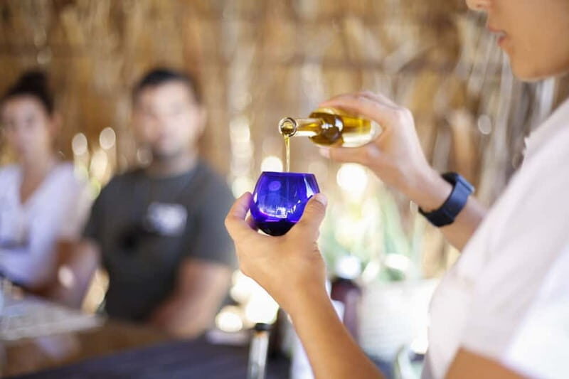 Fuerteventura Aloe & Olivo Tour with Optional Lunch - A Closer Look at the Verdeaurora Aloe & Olivo Tour
