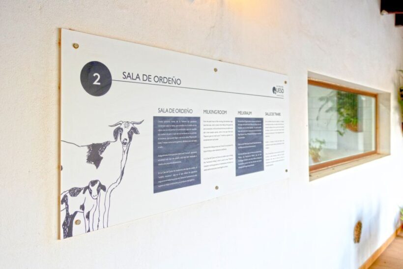 Fuerteventura: Artisan Goat's Cheese Making at Local Farm - Practical Details and Considerations