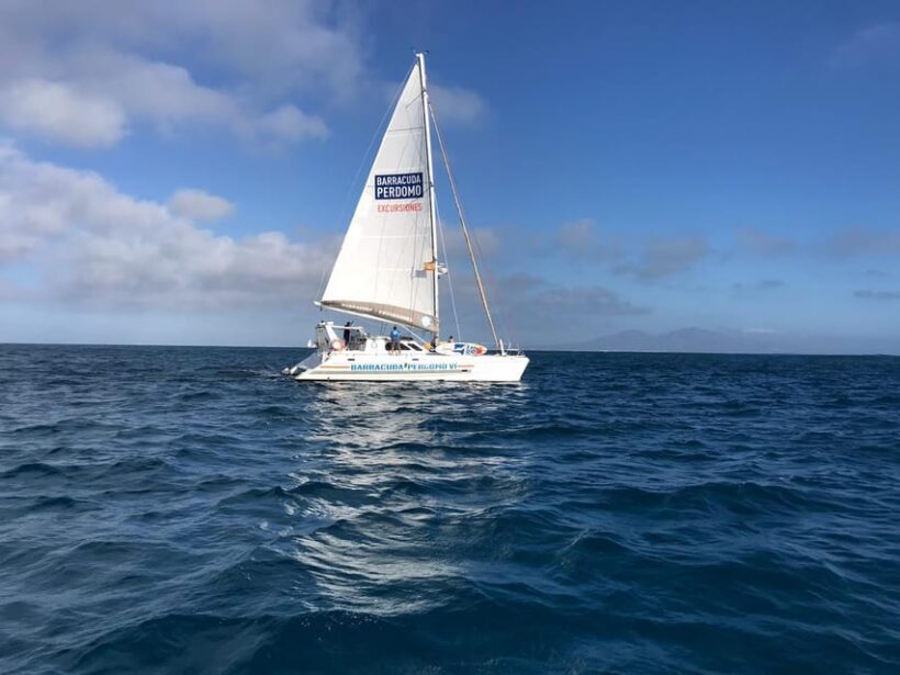Fuerteventura : Catamaran excursion to Lobos Island - Who Will Love This Tour?