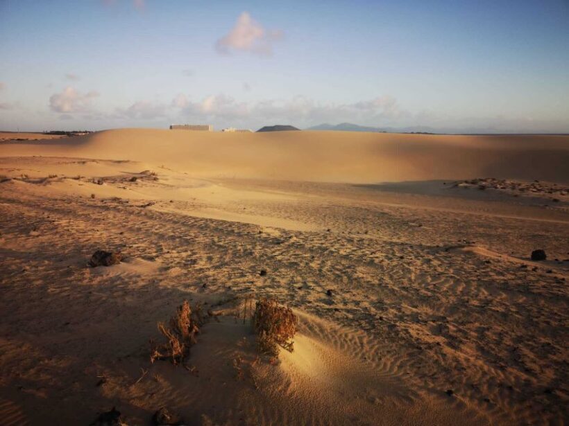 Fuerteventura: Corralejo Sand Dunes Guided Shore Excursion - Who Should Consider This Tour?