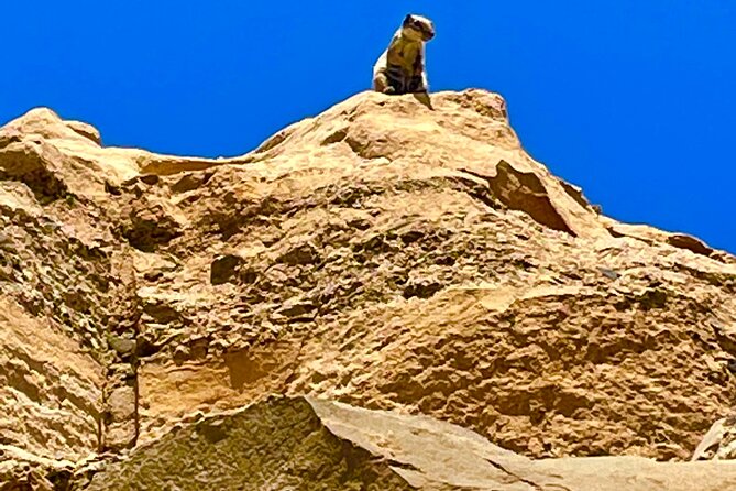 Fuerteventura: Discover 2 in 1 Guided Islandtour ALL HOTSPOTS. - Exploring the Caves of Ajuy