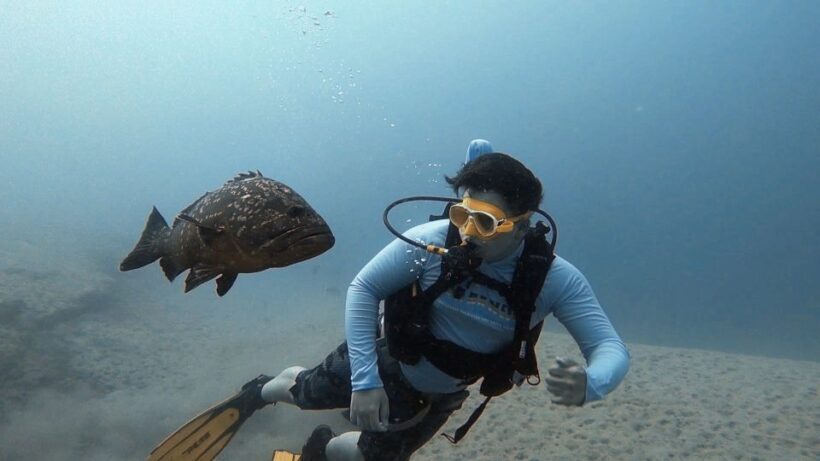 Fuerteventura: Discover Scuba Diving - An Honest Look at the Experience