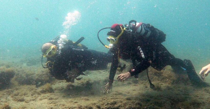 Fuerteventura: Discover Scuba Diving - Why Travelers Love This Tour