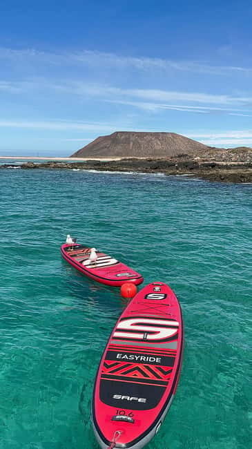 Fuerteventura: Dolphin watching and Lobo Island Combo Cruise - Authentic Experiences and Real Feedback