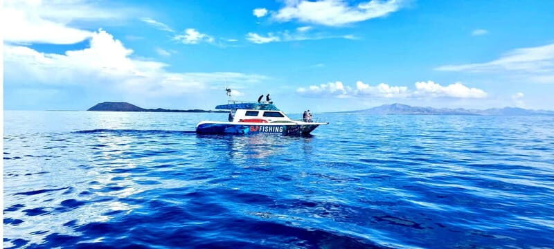 Fuerteventura: Dolphin watching and Lobo Island Combo Cruise - The Sum Up