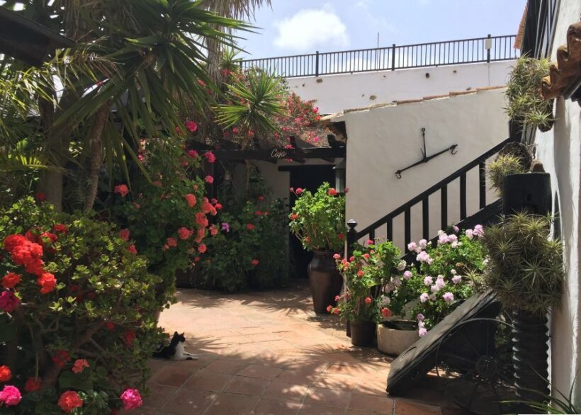 Fuerteventura: Full Day Tour with Lunch - What the Reviews Say
