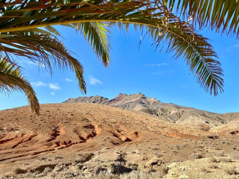Fuerteventura Hiking up the holy mountain El Cardon - The Itinerary: What to Expect