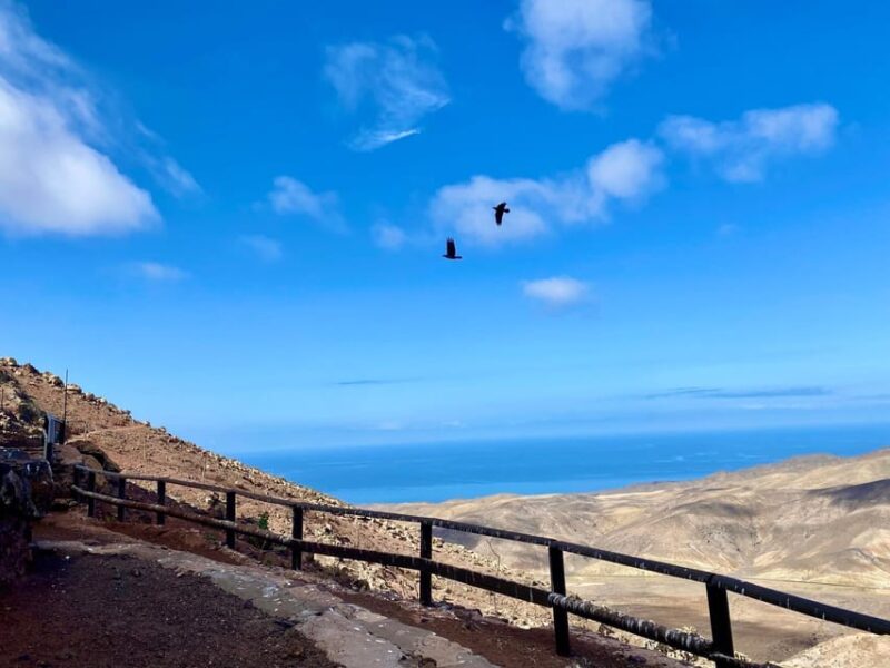 Fuerteventura Hiking up the holy mountain El Cardon - Final recommendations
