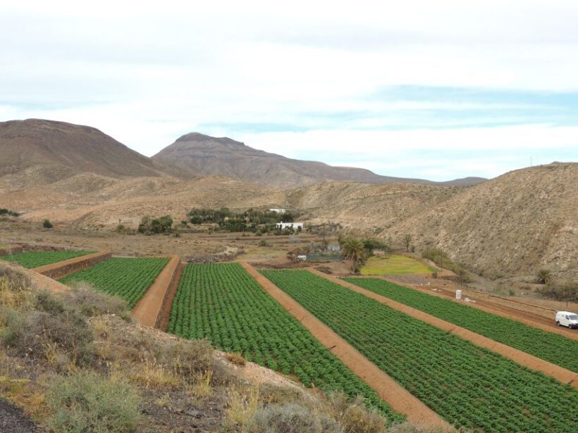 Fuerteventura: Island Highlights Guided VIP Sightseeing Tour - What Travelers Are Saying