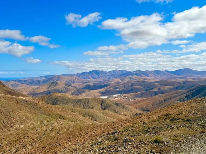 Fuerteventura: Island Highlights Sightseeing Tour - Who Will Love This Tour?
