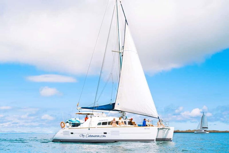 Fuerteventura: Lobos Island Catamaran Cruise with Lunch - Authentic Reviews That Speak Volumes
