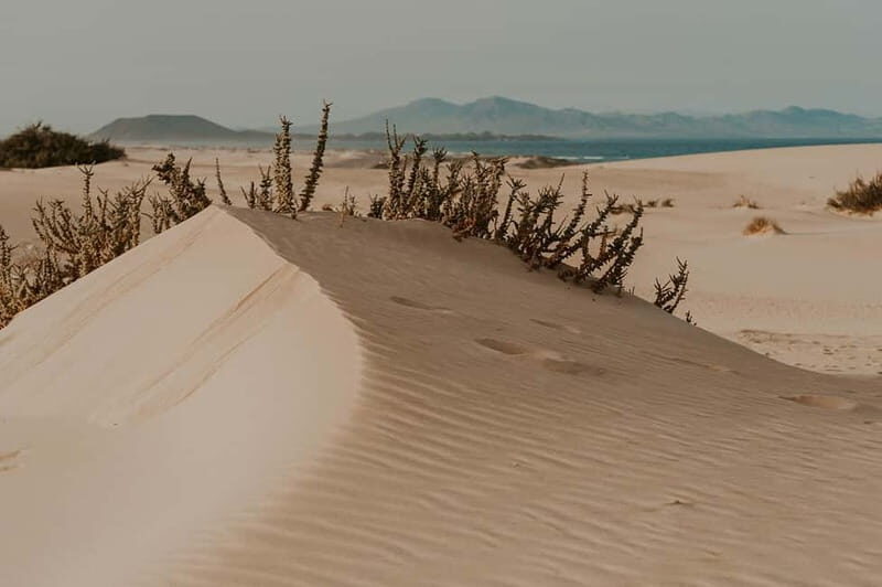 Fuerteventura North: 4h tour for cruise passengers - FAQ