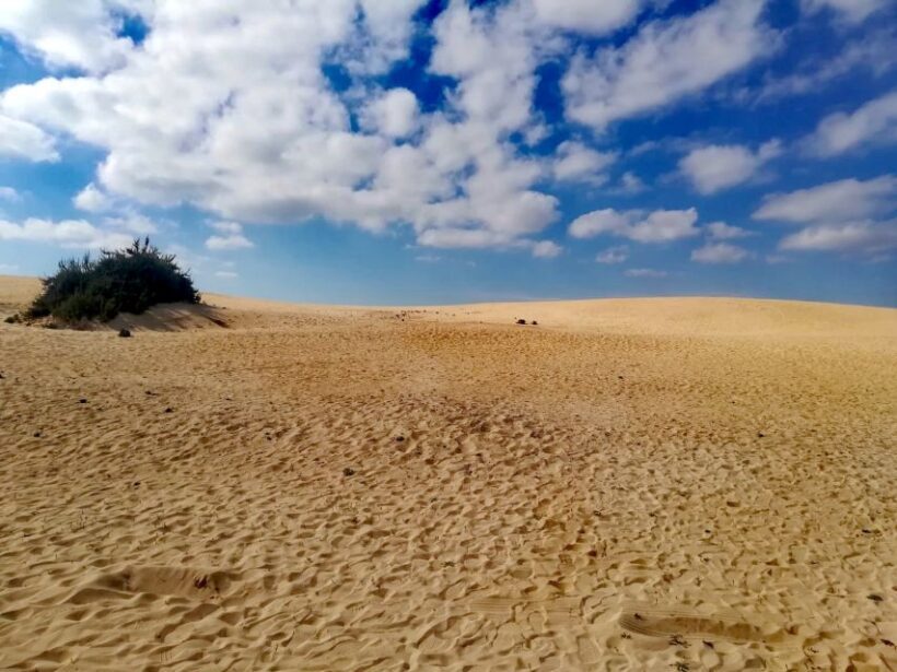 Fuerteventura: North of Fuerteventura for Cruise Passengers - What to Expect on This Tour