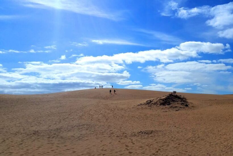 Fuerteventura: Panoramic Tour - An In-Depth Look at the Fuerteventura Panoramic Tour