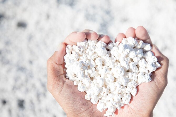 Fuerteventura: PRIVATE Historical Island Sightseeing Grand Tour - Practical Information & Value