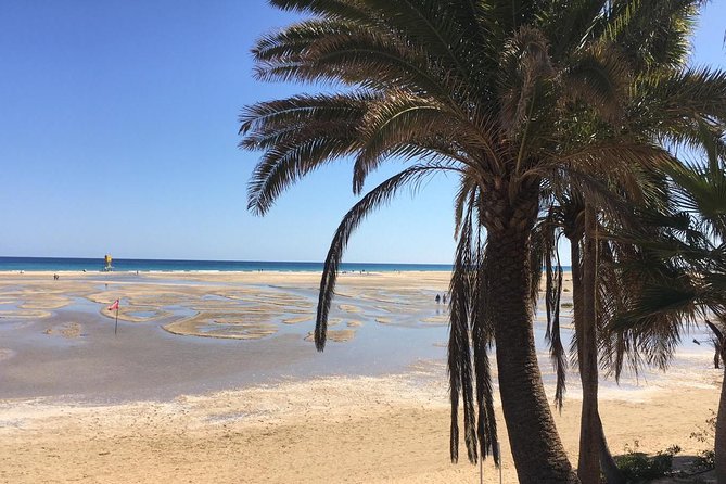 Fuerteventura South Exclusive Tour - Final Thoughts