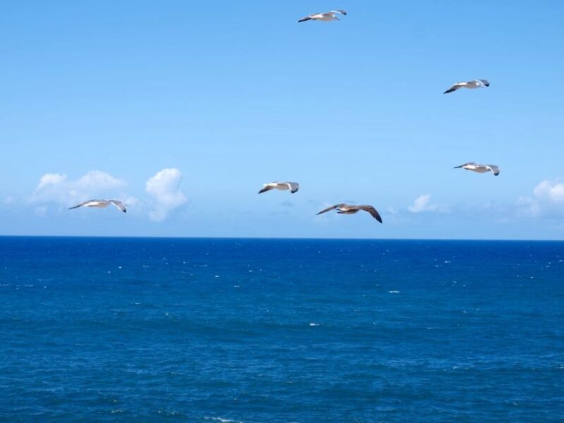 Fuerteventura sunset hike to the wild west coast - The Practical Details: Transportation, Group Size, and Cost