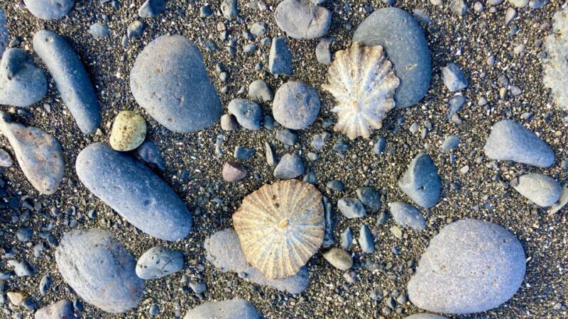 Fuerteventura sunset hike to the wild west coast - Who Will Love This Tour?