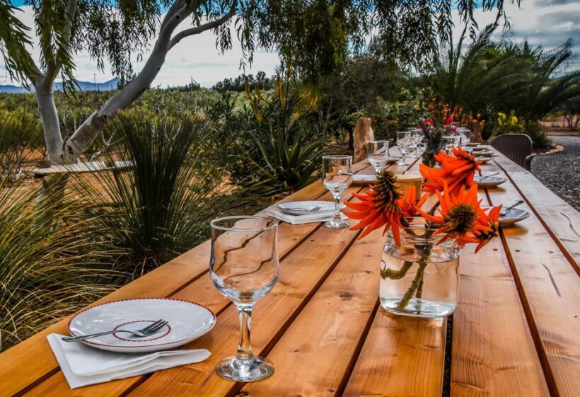 Fuerteventura: Tapas and Local Life Guided Tour - Who Will Love This Tour