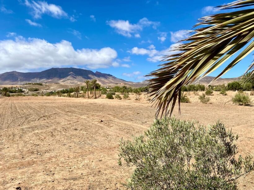 Fuerteventura: Tapas and Local Life Guided Tour - Frequently Asked Questions