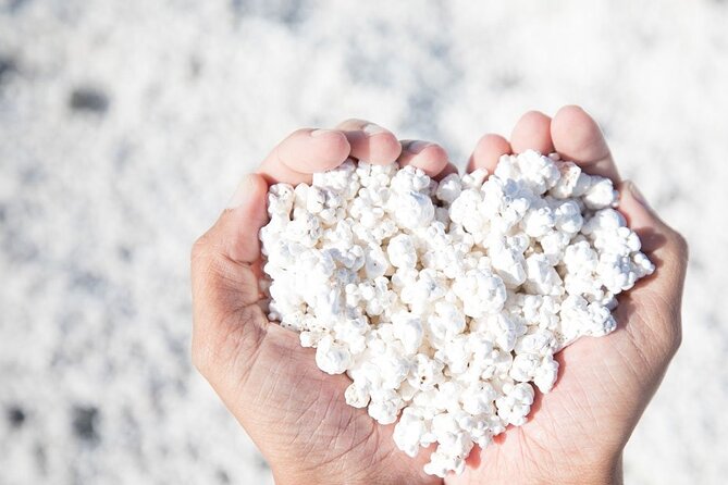 Fuerteventura: the Panoramic Experience. ALL Highlights in 1 Day! - Key Points