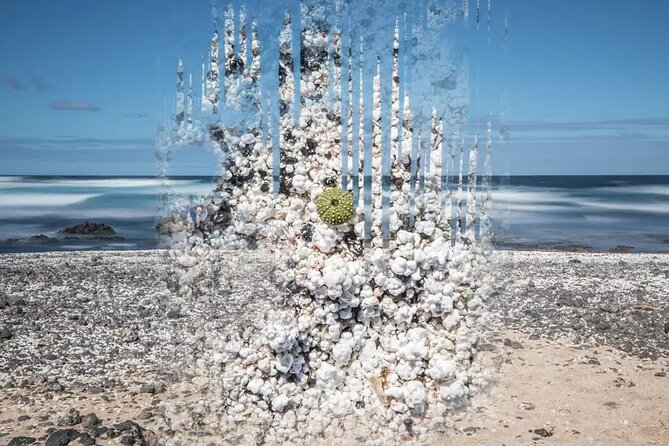 Fuerteventura: the Panoramic Experience. ALL Highlights in 1 Day! - Taking in the Islands Rich Culture and History