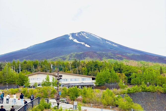 Fuji Hakone Cherry Blossom Private Tour - Key Points