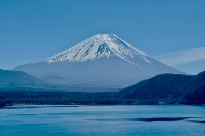 Fuji Hakone Cherry Blossom Private Tour - Exploring Mount Fuji