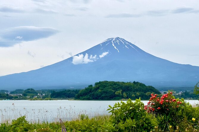 Fuji Hakone Cherry Blossom Private Tour - Optional Shuttle Service