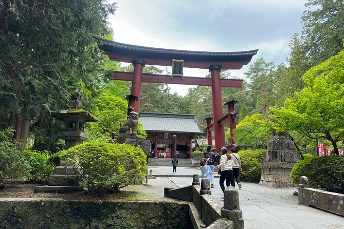 Fuji Hakone Cherry Blossom Private Tour - Customer Reviews