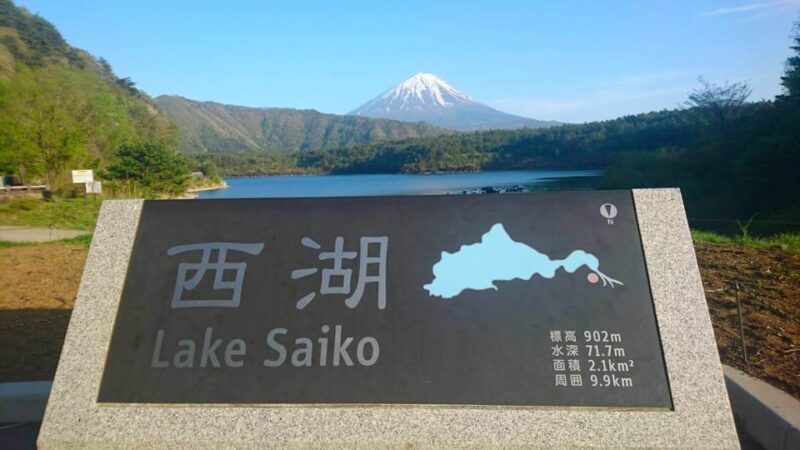 Fuji/Hakone Private Tour, English Speaking Guide, Photograph - Customer Reviews and Ratings