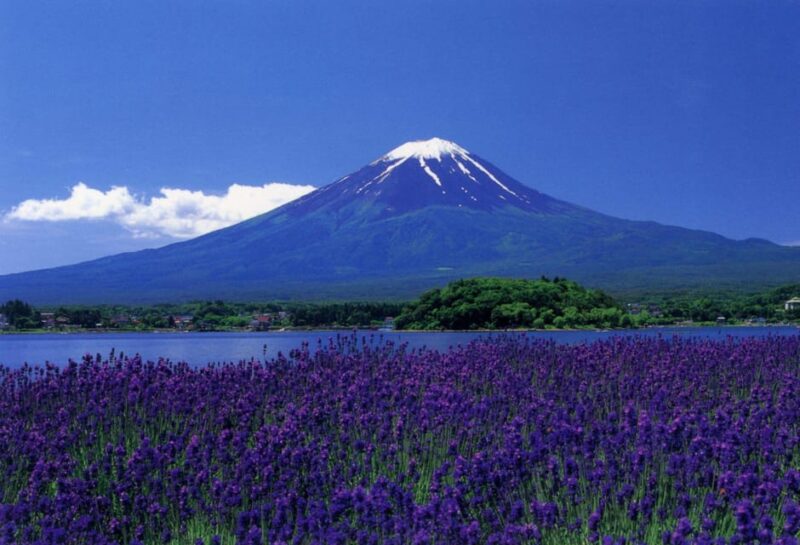 Fuji/Hakone Private Tour, English Speaking Guide, Photograph - Frequently Asked Questions