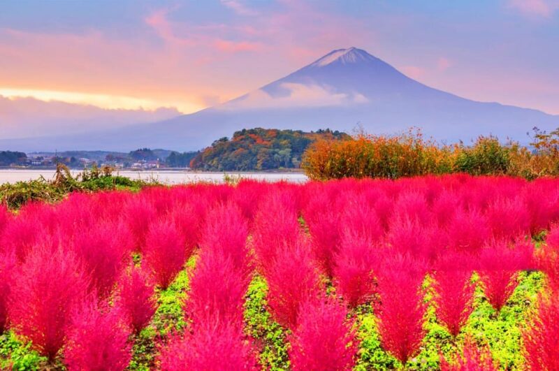 Fuji Kawaguchiko, Hot Spring, Wind & Ice Cave Adventure Day - Key Points