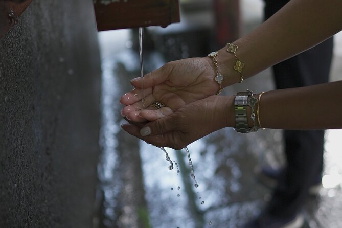 Fuji Photo Tour - Tour Conditions and Participation