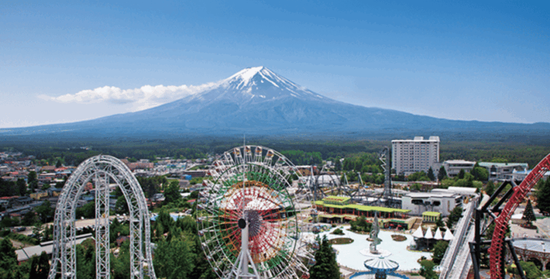 Fuji-Q Highland Amusement Park: 1 Day Private Tour by Car - Participant Information