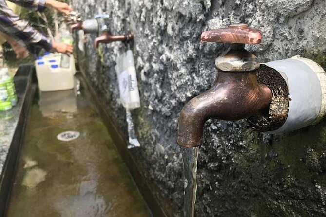 Fuji Speedway Self Drive & Mt. Fuji Private Tour Pickup on LEXUS - Meeting and Pickup