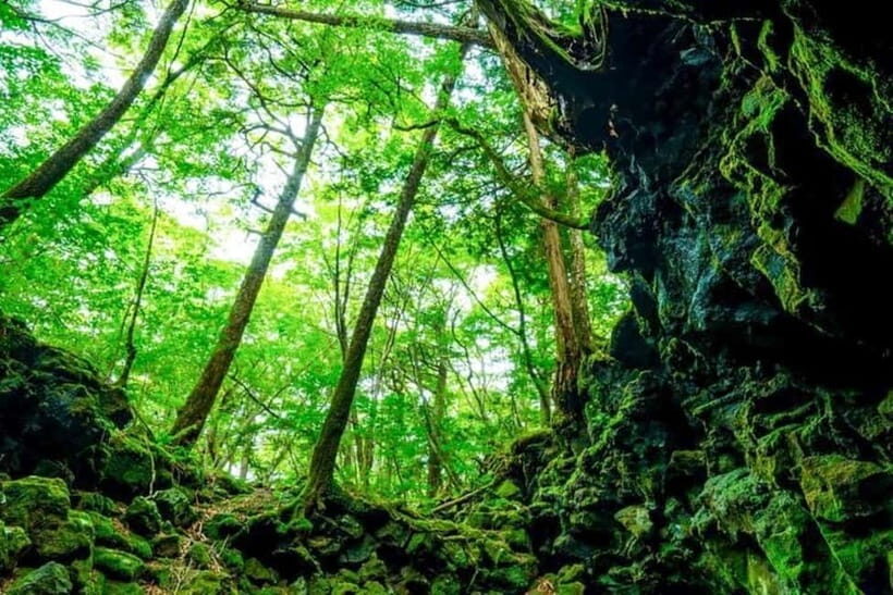 Fuji Spiritual Private Tour with Lunch and Dinner - The Sum Up