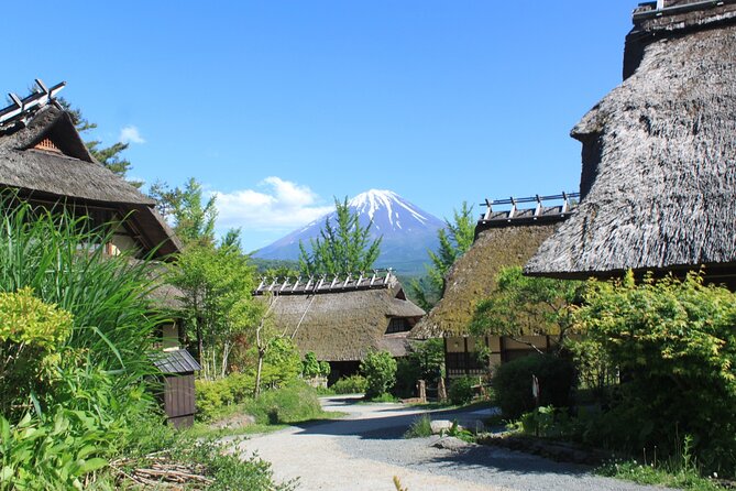 Fuji Spiritual Private Tour With Lunch and Dinner - Participation Details