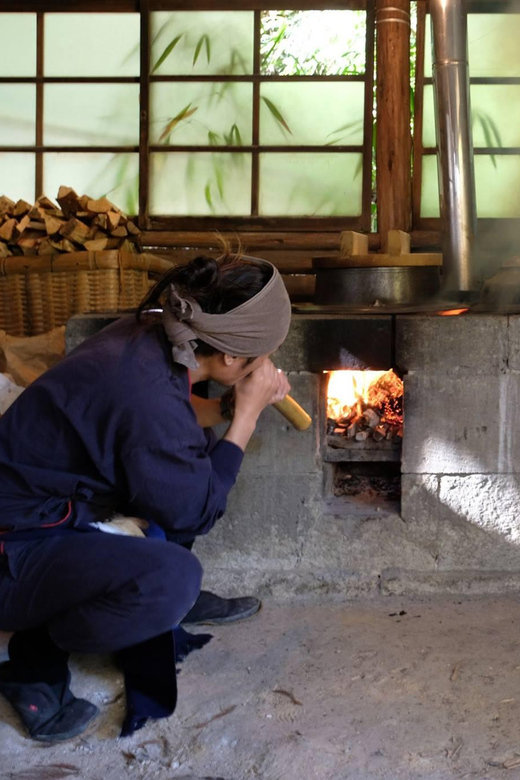 Fujieda: Suisha-mura Traditional Japanese Cooking Experience - Key Points