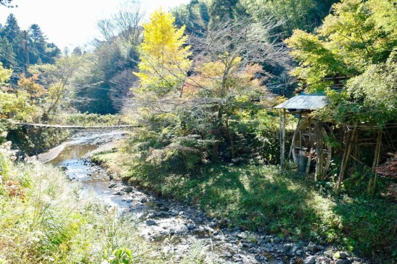 Fujieda: Suisha-mura Traditional Japanese Cooking Experience - Traditional Dining at Irori