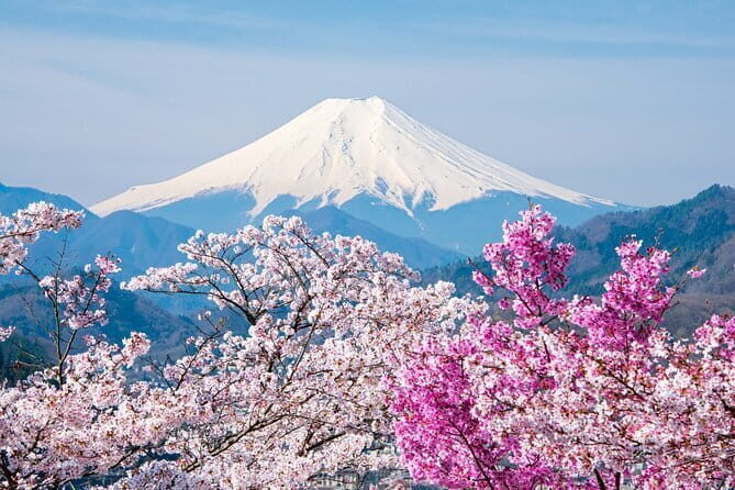 Fujiyama Snow Resort Yeti Winter Ski Day Tour from Tokyo Japan - Who Should Consider This Tour?