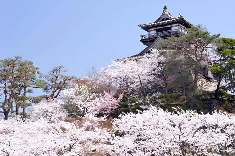Fukui: Maruoka Castle Admission Ticket - Key Points