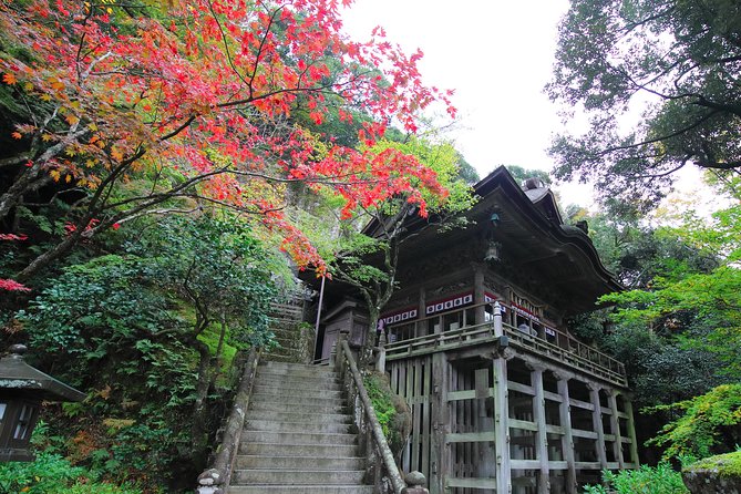 Fukui Private Full Day/Photoshoot by Professional Photographer - Experience Details