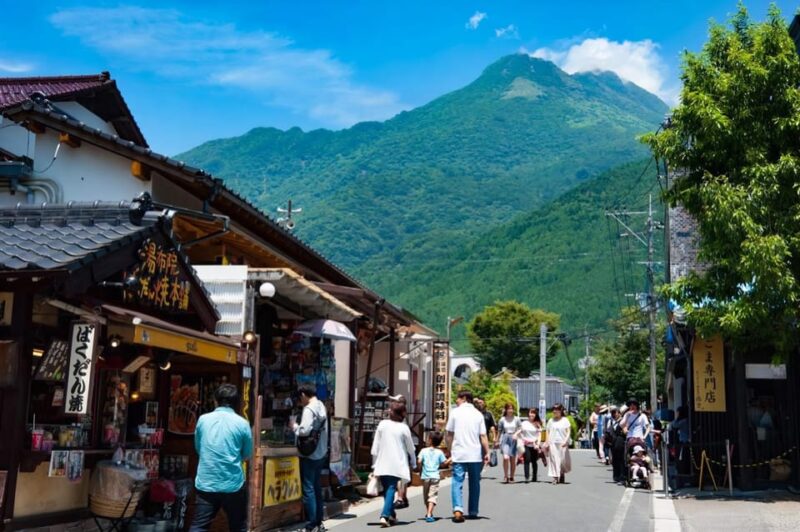 Fukuoka: Beppu Hells HotSpring, Frog Temple & Yufuin DayTrip - Highlights of the Itinerary